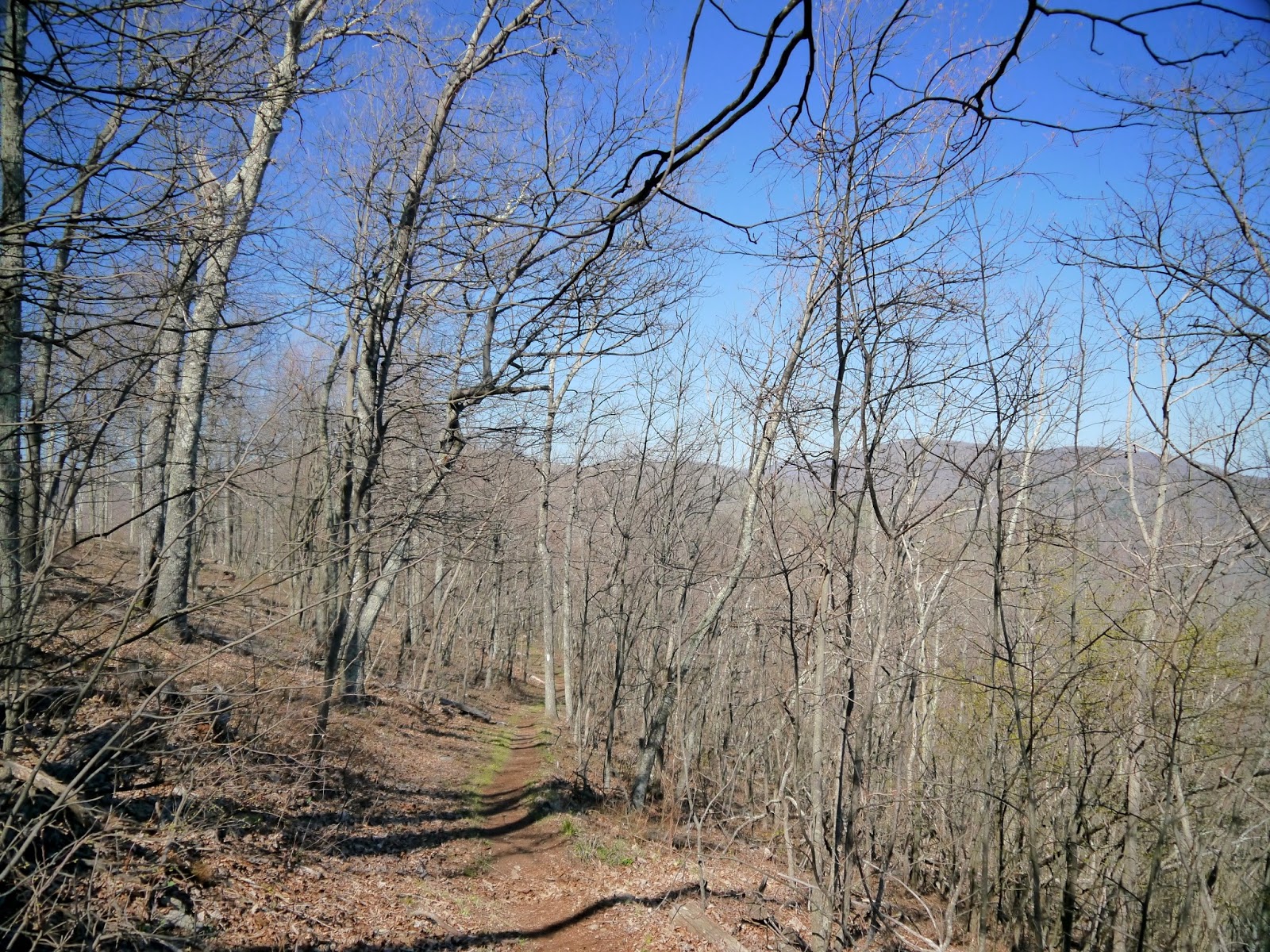 American Travel Journal: Riprap Trailhead to Blackrock Gap ...
