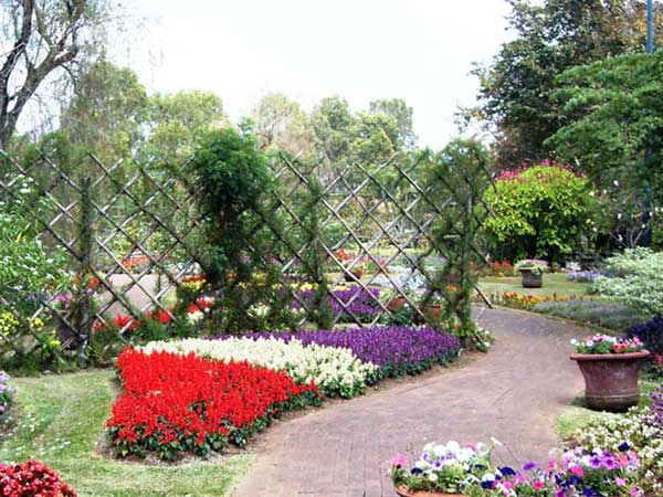 Puncak Icon: Taman Bunga Nusantara