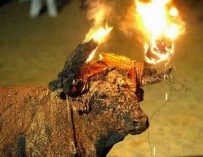 Las Fotos Mas Alucinantes: toro en llamas