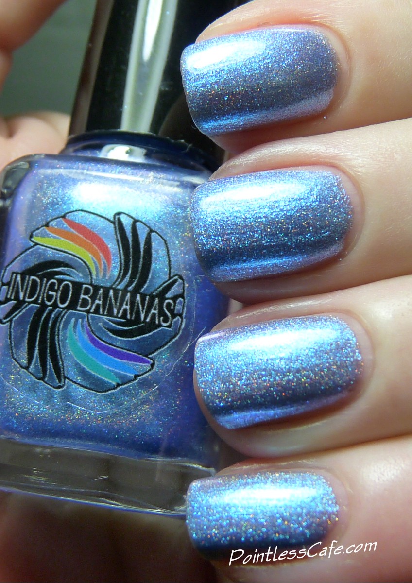 Indigo Bananas - Dream a Little Dream and Maui Wowee | Pointless Cafe