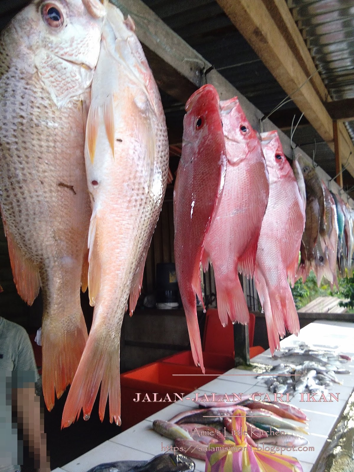 Memburu Ikan di Kala Senja - Amie's Little Kitchen