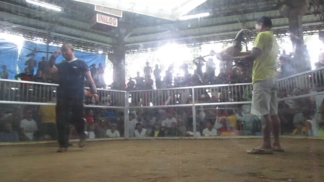 Sabong Pilipinas Fights - Tubigon Cockers Arena January 17, 2015 Fight ...
