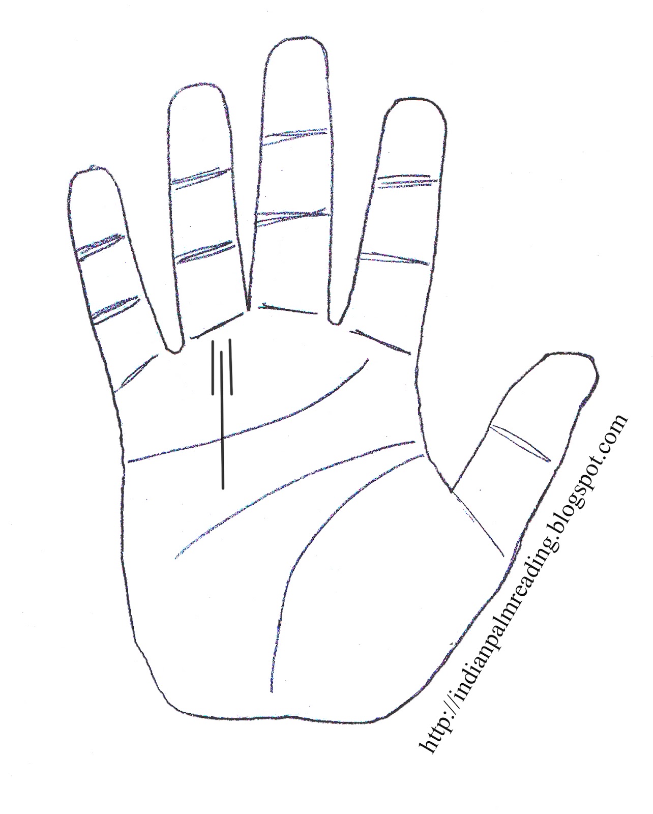 Interpretation Of Sun Line With Images ~ INDIAN PALMISTRY | PALM ...