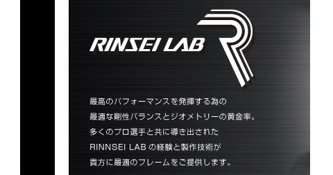 RINSEI LAB: BIG DATA