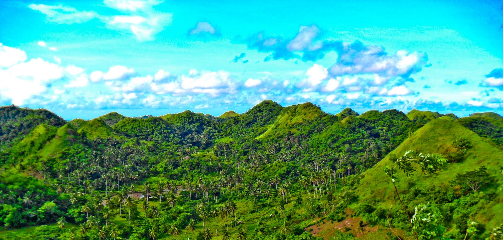 Byahero: Pili Nut Hills in Camalig, Albay