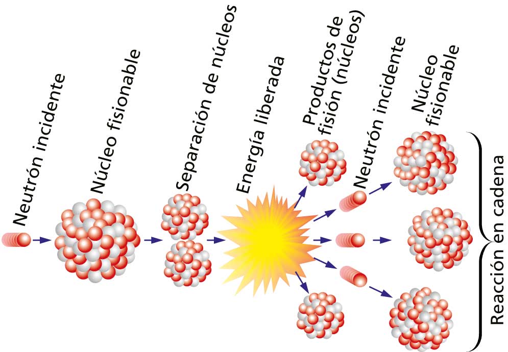 +60 y sigo recapitulando.: LISE MEITNER y la FISIÓN NUCLEAR (Otra Mujer ...