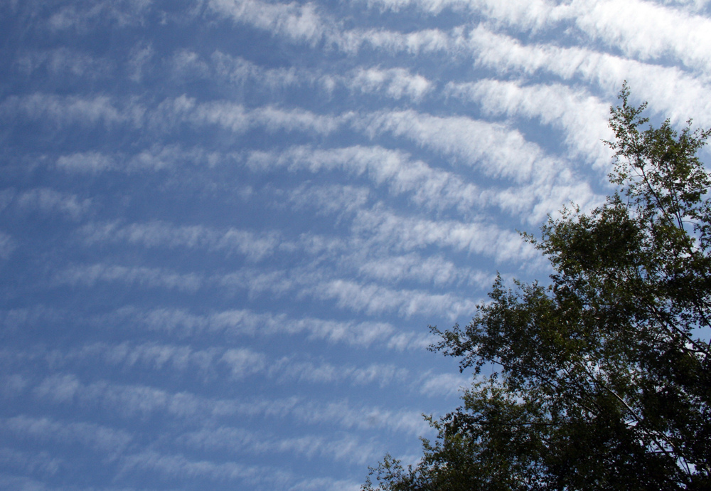 Wx4cast: Weather Forecasting