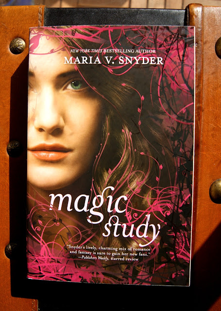Sun/Salt + Letters: re·view : Magic Study by Maria V. Snyder