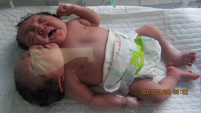 China Fresh | Enter your blog topic here