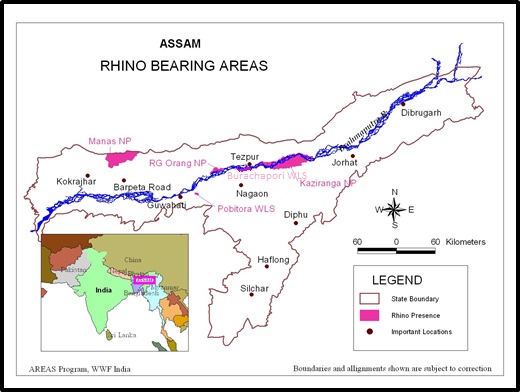 How to Plan A Trip to Manas National Park