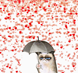 Animated Meme: Grumpy Cat Gifs