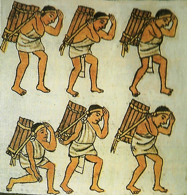 Historia Mexicana: La expansión de la minera, la agricultura y el comercio