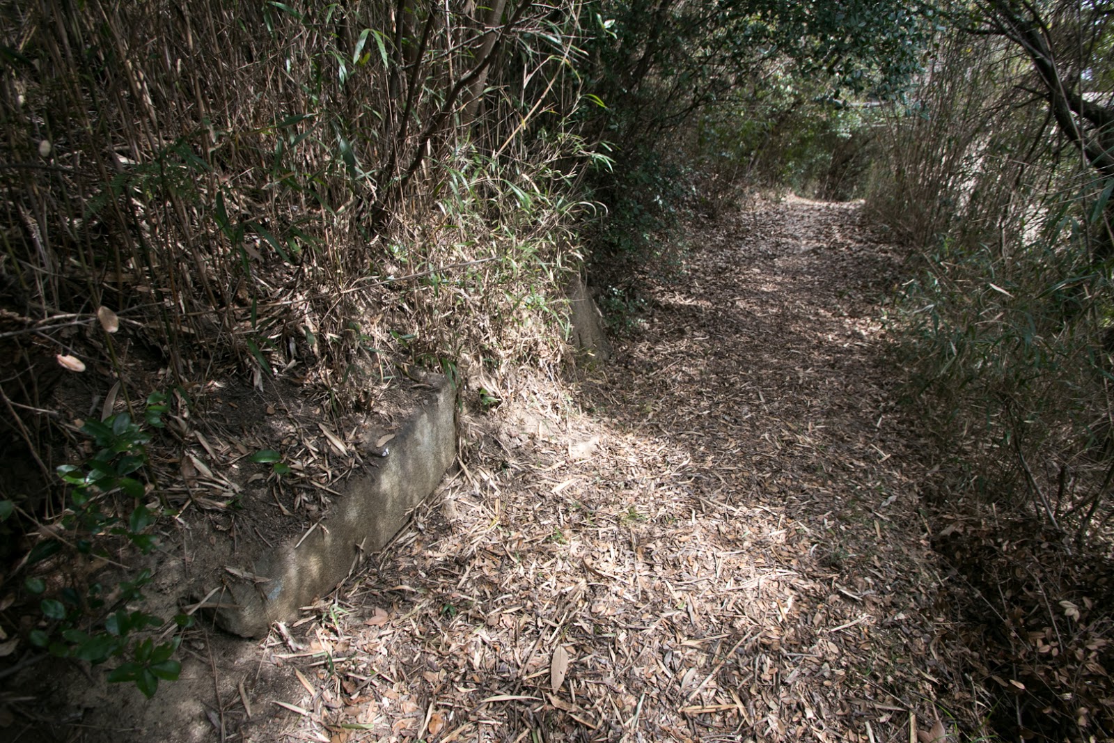 Shimotsui Castle -Castle looking down straight and bridge- | Japan ...