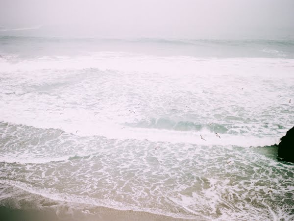 Leo Patrone Blog: Joya and Harris - Sea Ranch, California...