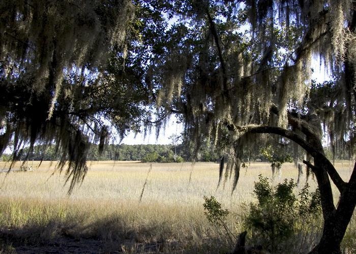 Marly Youmans / The Palace at 2:00 a.m. / poems, stories, novels ...
