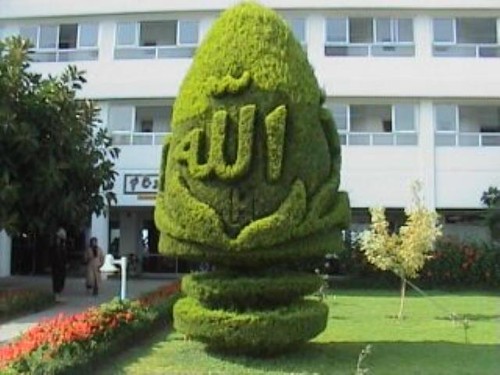 Allah Names In Different Things (Miracles) | Top Web Pics