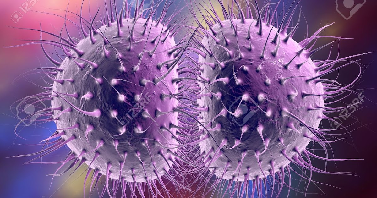 Microorganismos productores de enfermedades: ENFERMEDAD GONOCÓCICA ...