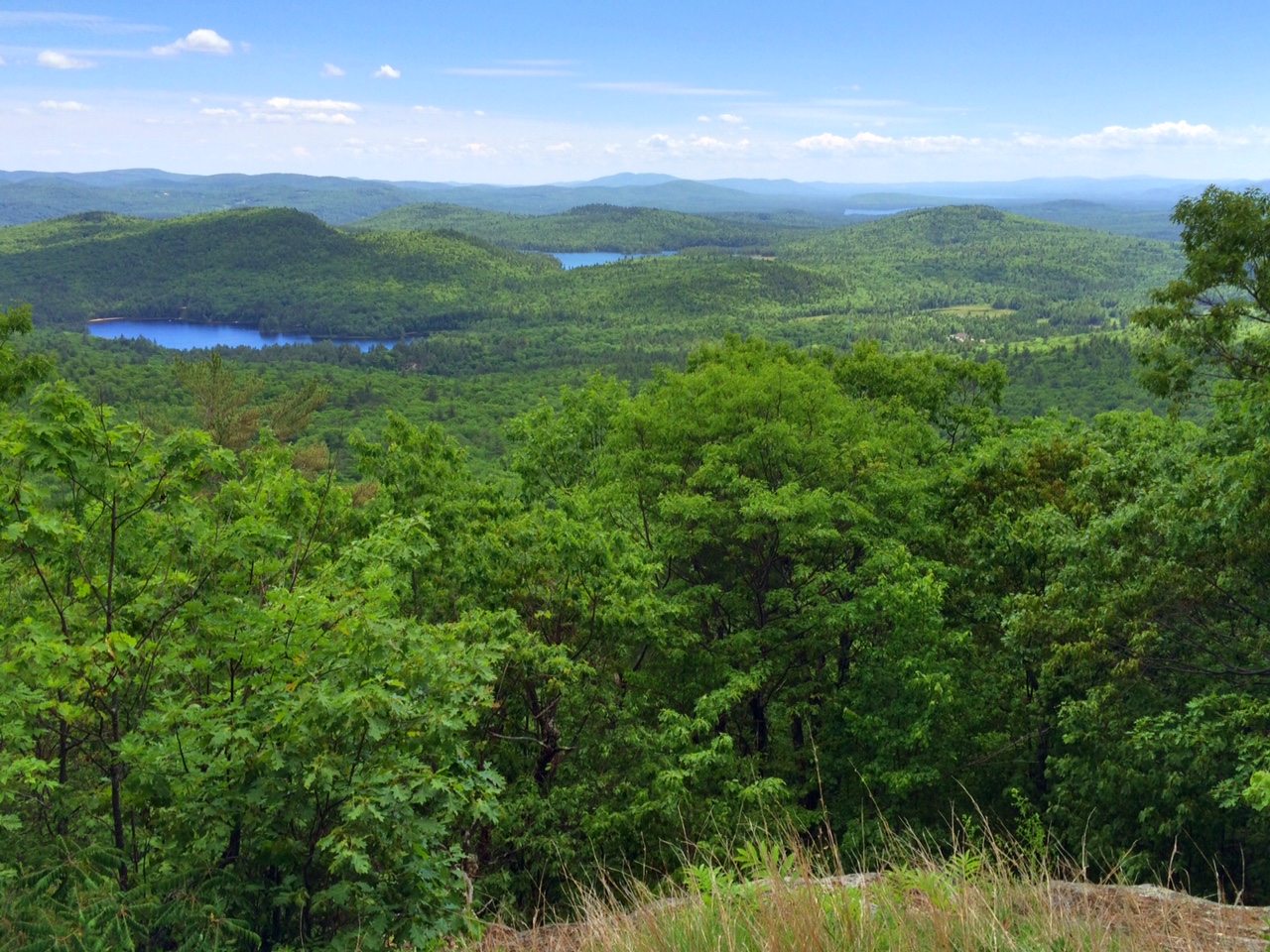 The Freelance Adventurer : White Ledge Trail - Solitude and Views near ...