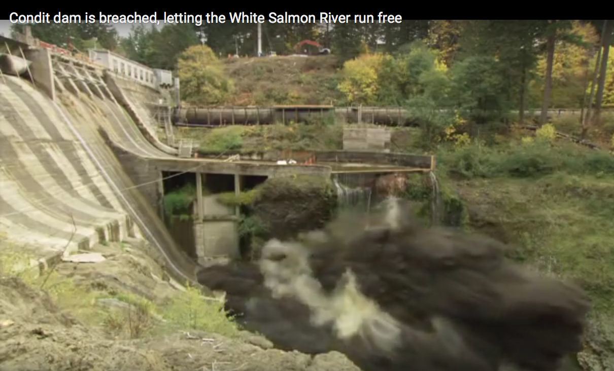 Ventura River Ecosystem: Matilija Dam stakeholders select local project