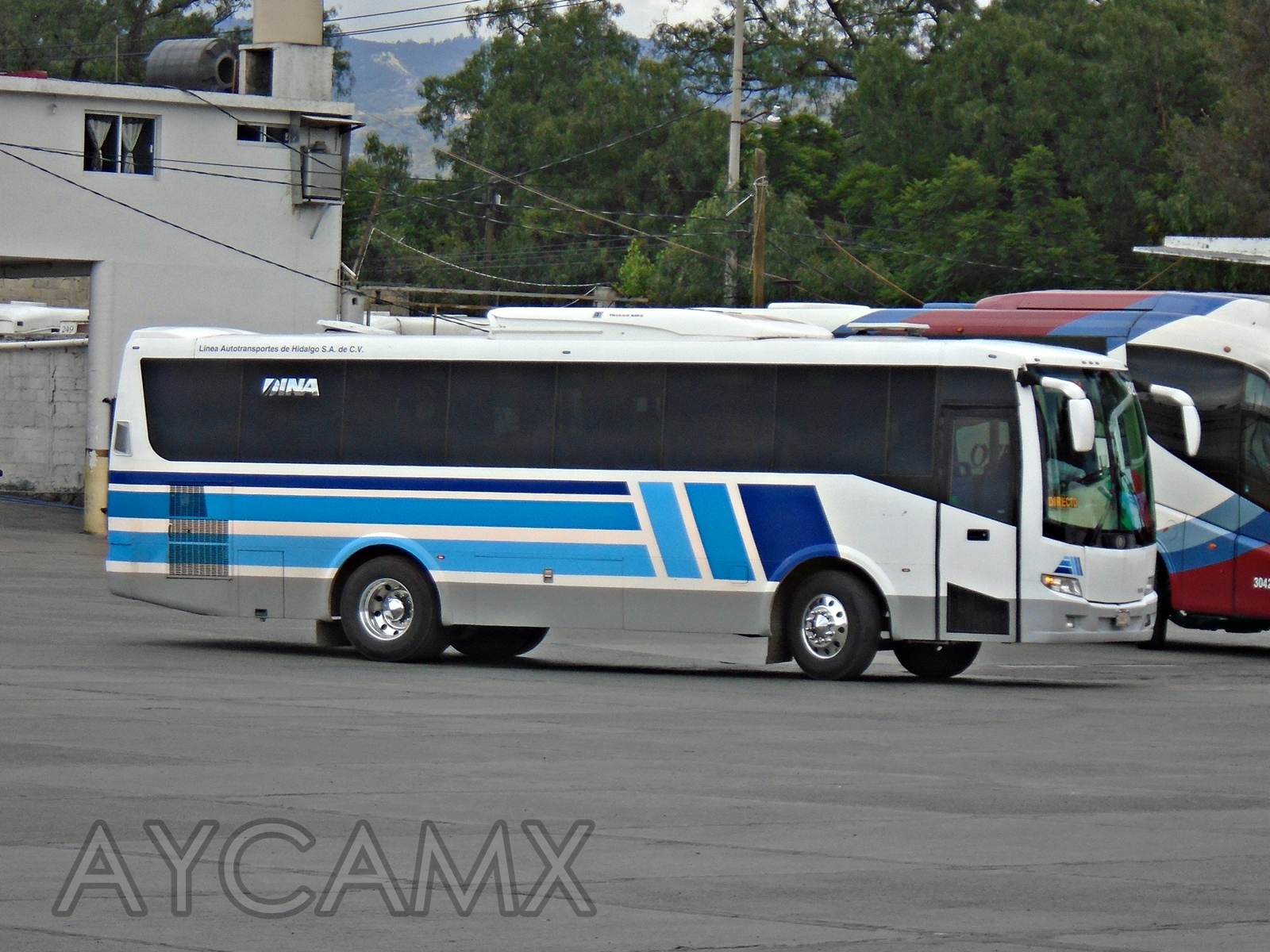 AYCAMX - Autobuses y Camiones México : Autobuses Foráneos 250. Parte 2