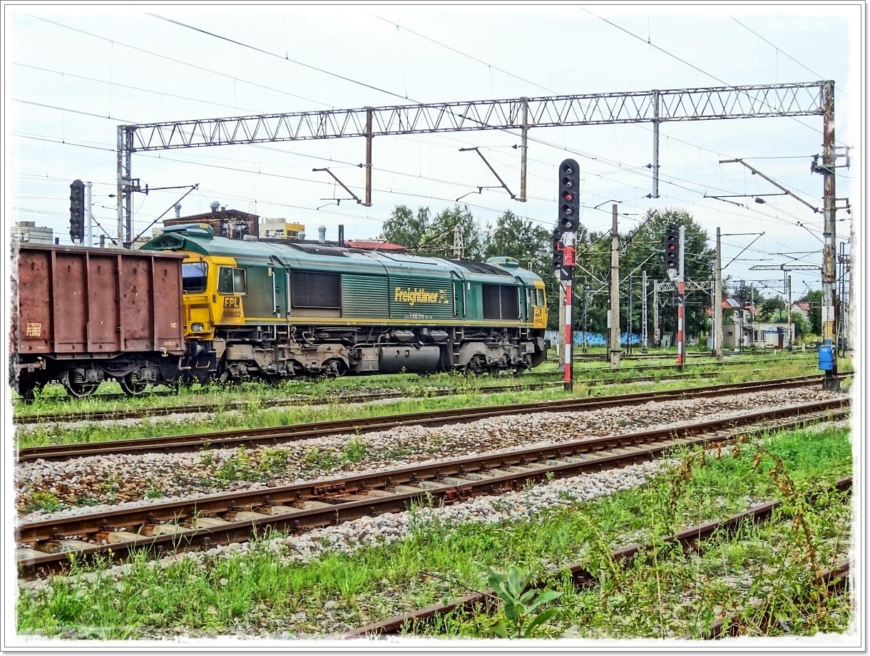 Spłoszony Szerszeń 66602 FPL | Kolejowe Kielce