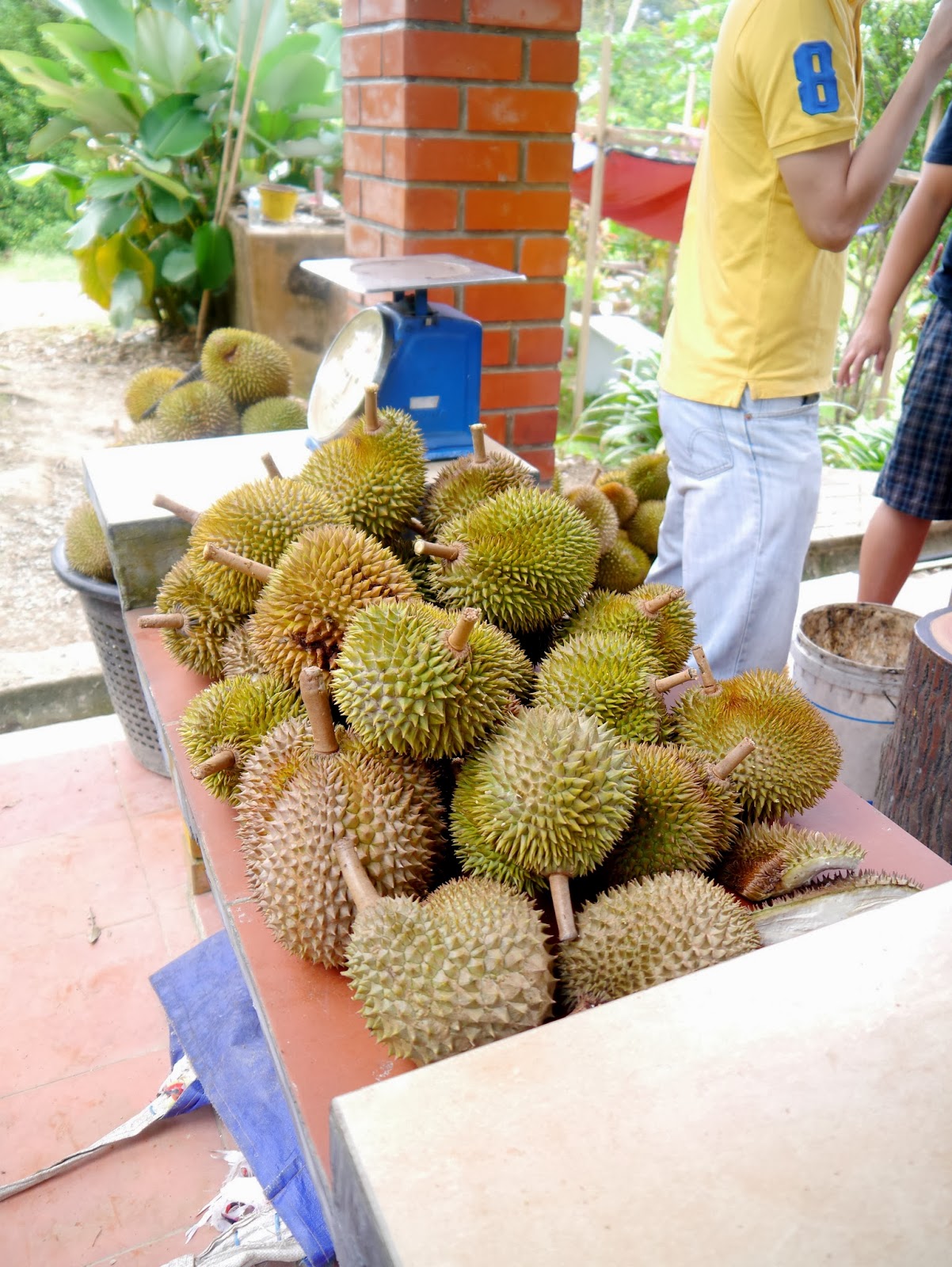 AyuDenira: Tulai Orchard