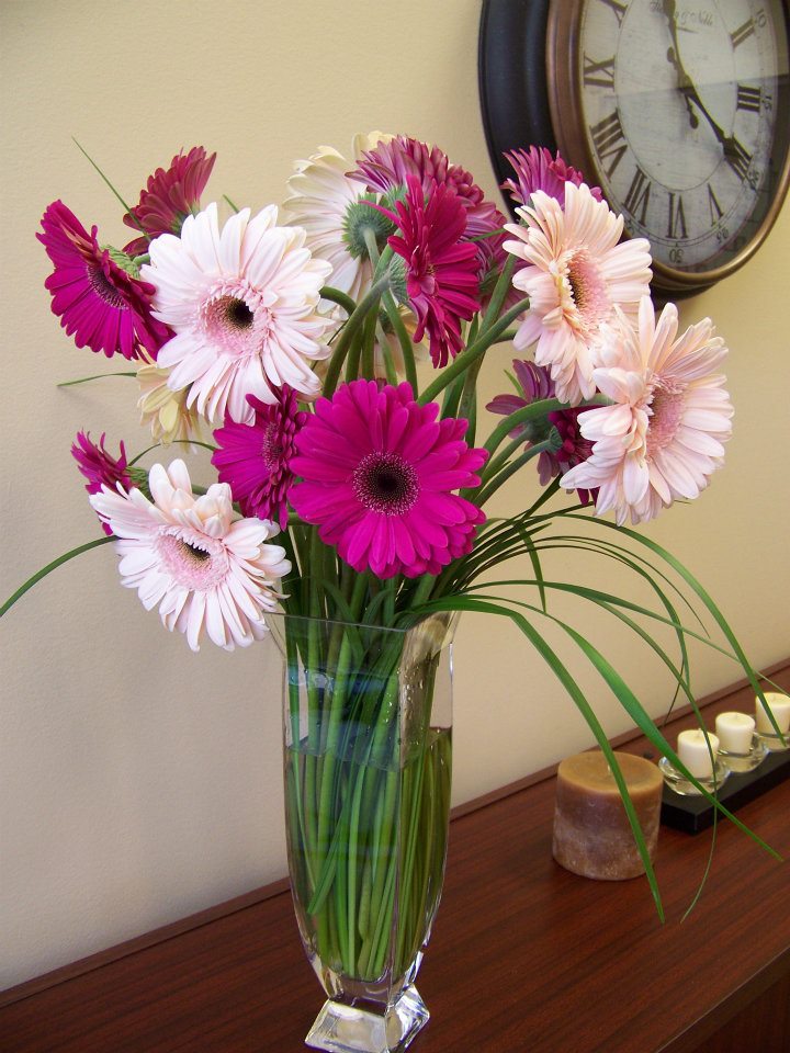 Fleur De jour: Gerbera Daisy!