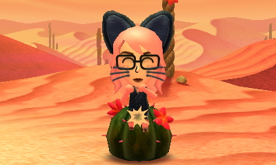 Cosmic Acorns: Miitopia: Cactus Jab