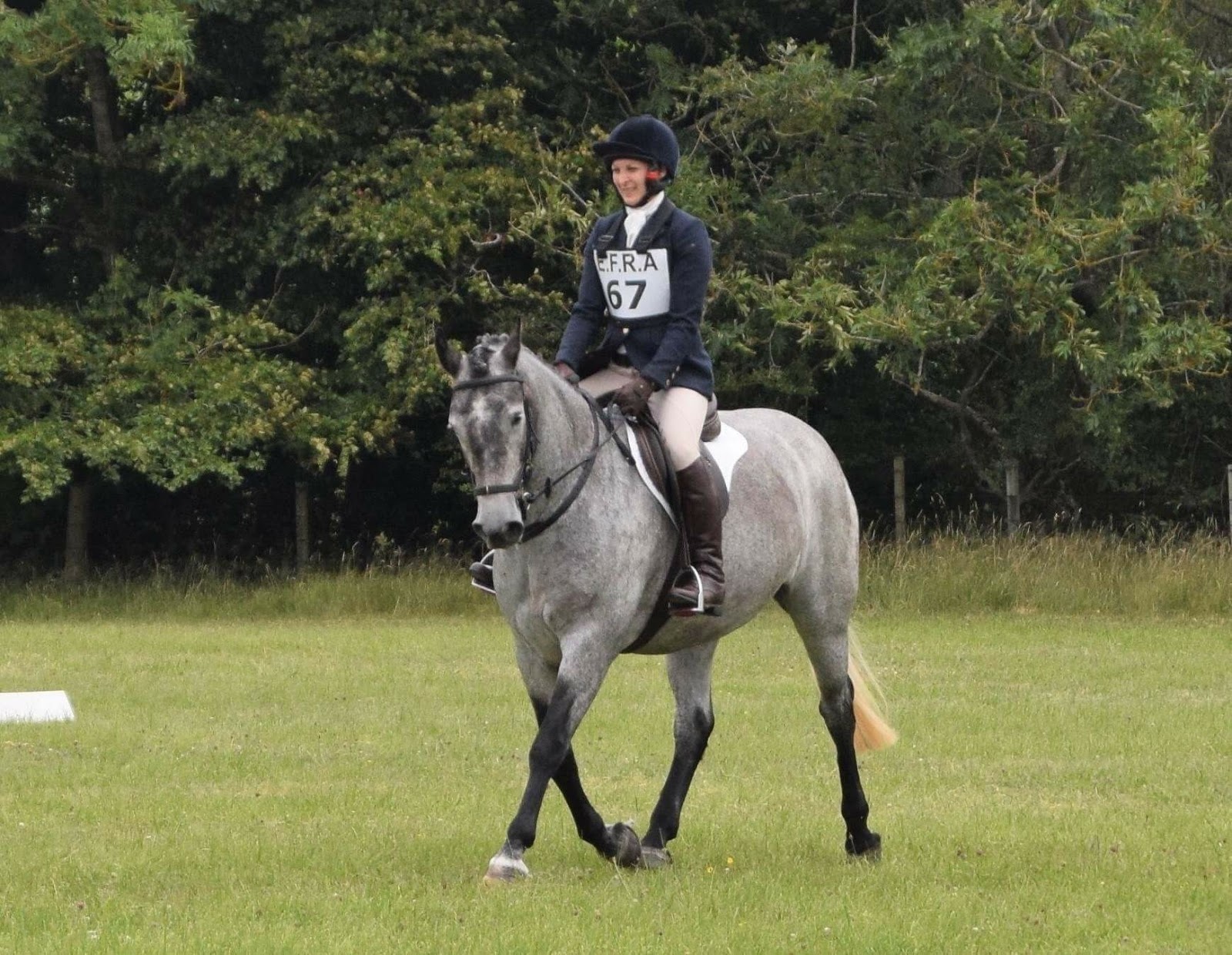 Chamfron Stud : Chamfron Colada - Frist outing