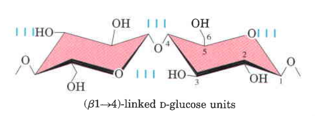 MR. BOB BLOG: SELULOSA DAN ENZIM SELULASE