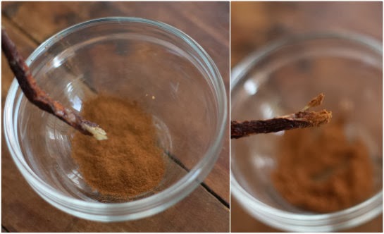 Money Tree Update: Cinnamon Root Stimulator | 17 Apart