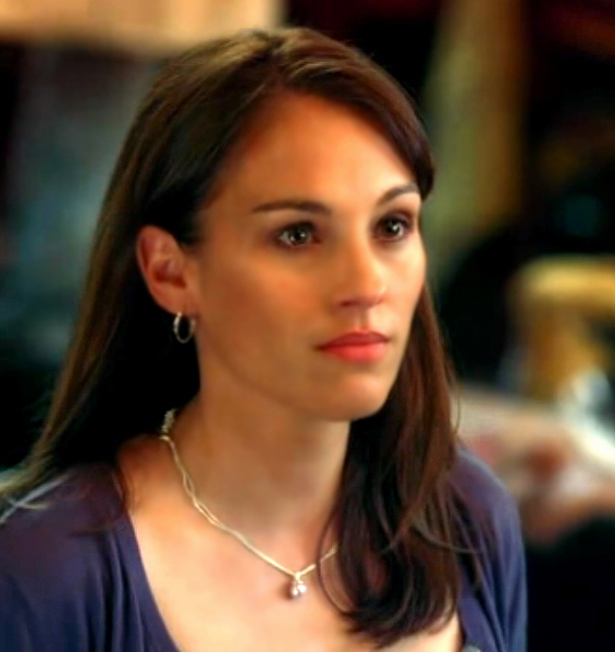 Flashpoint: O brilho de Jules na terceira temporada! ~ Amy Jo Brasil ...