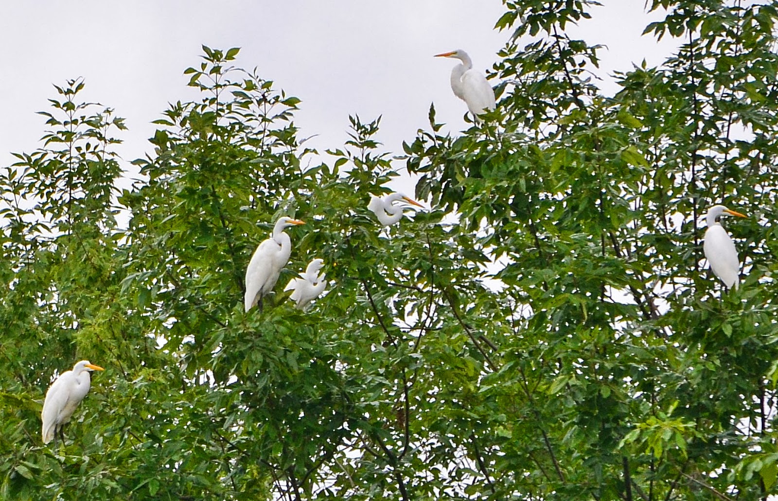 Focus On Killingworth, CT and Surrounding Towns: Haddam Views