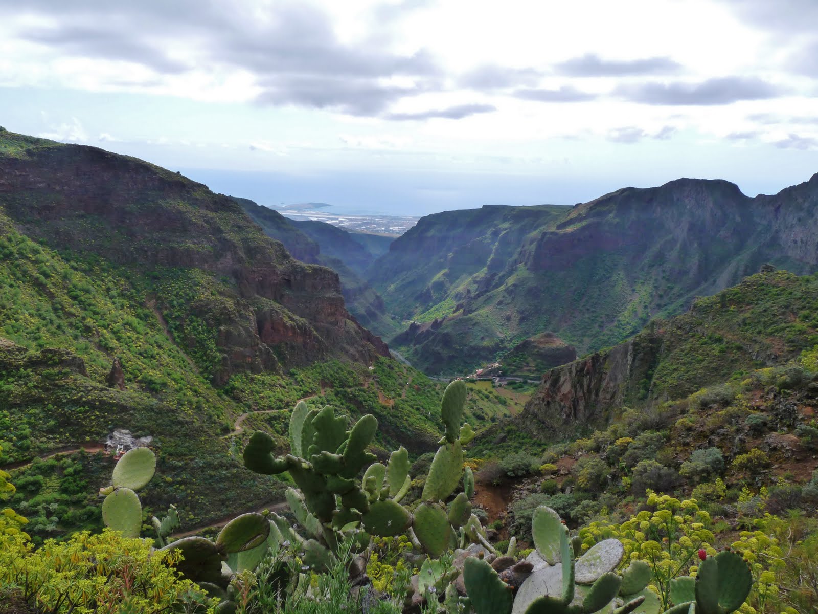 SENDAS DE TAMARAN: GUAYADEQUE