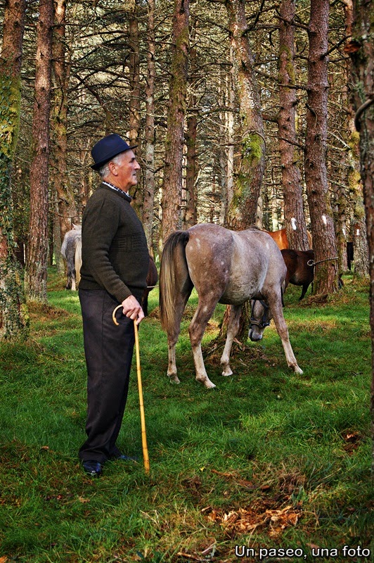 Un paseo,una foto: XXVII Feira do poldro e gando de monte. Muras (Lugo)