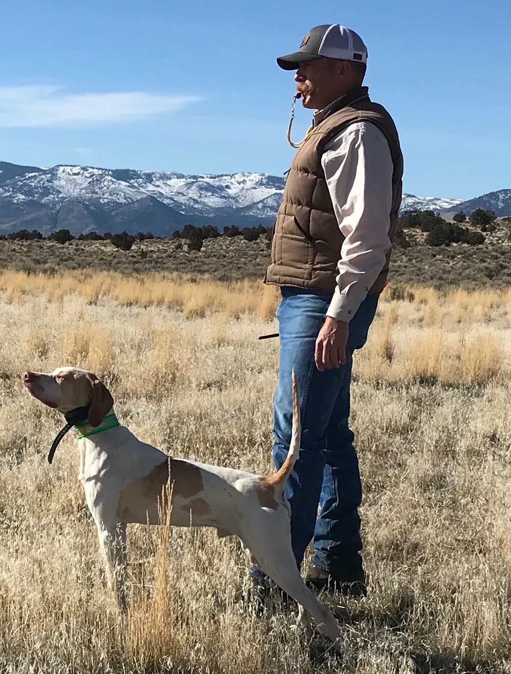 Living with Birddogs: February 2018