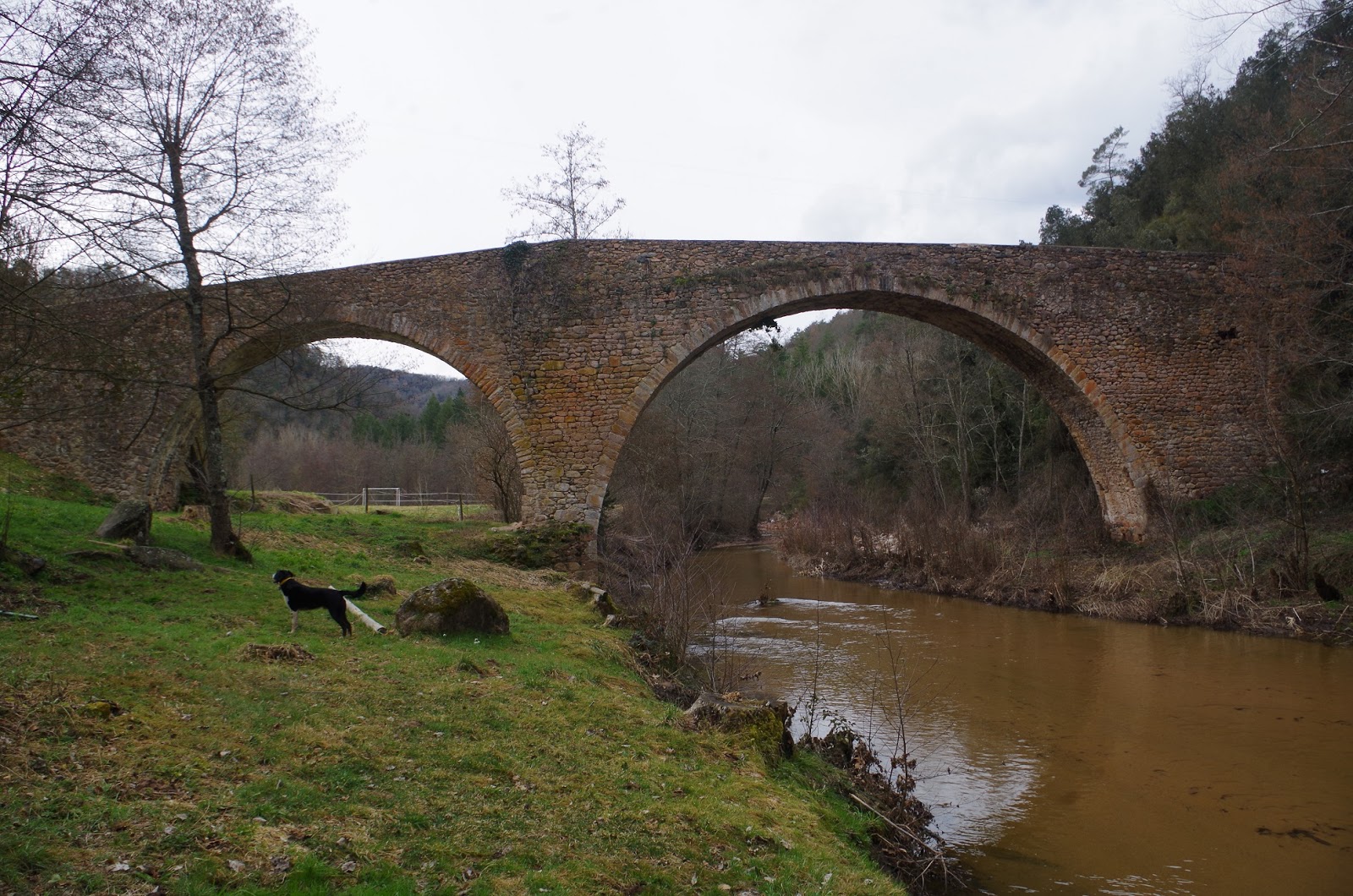Serrallonga 1640: PER BOSCOS DE BANDOLERS: MALAFOGASSA, SANT PERE DE ...