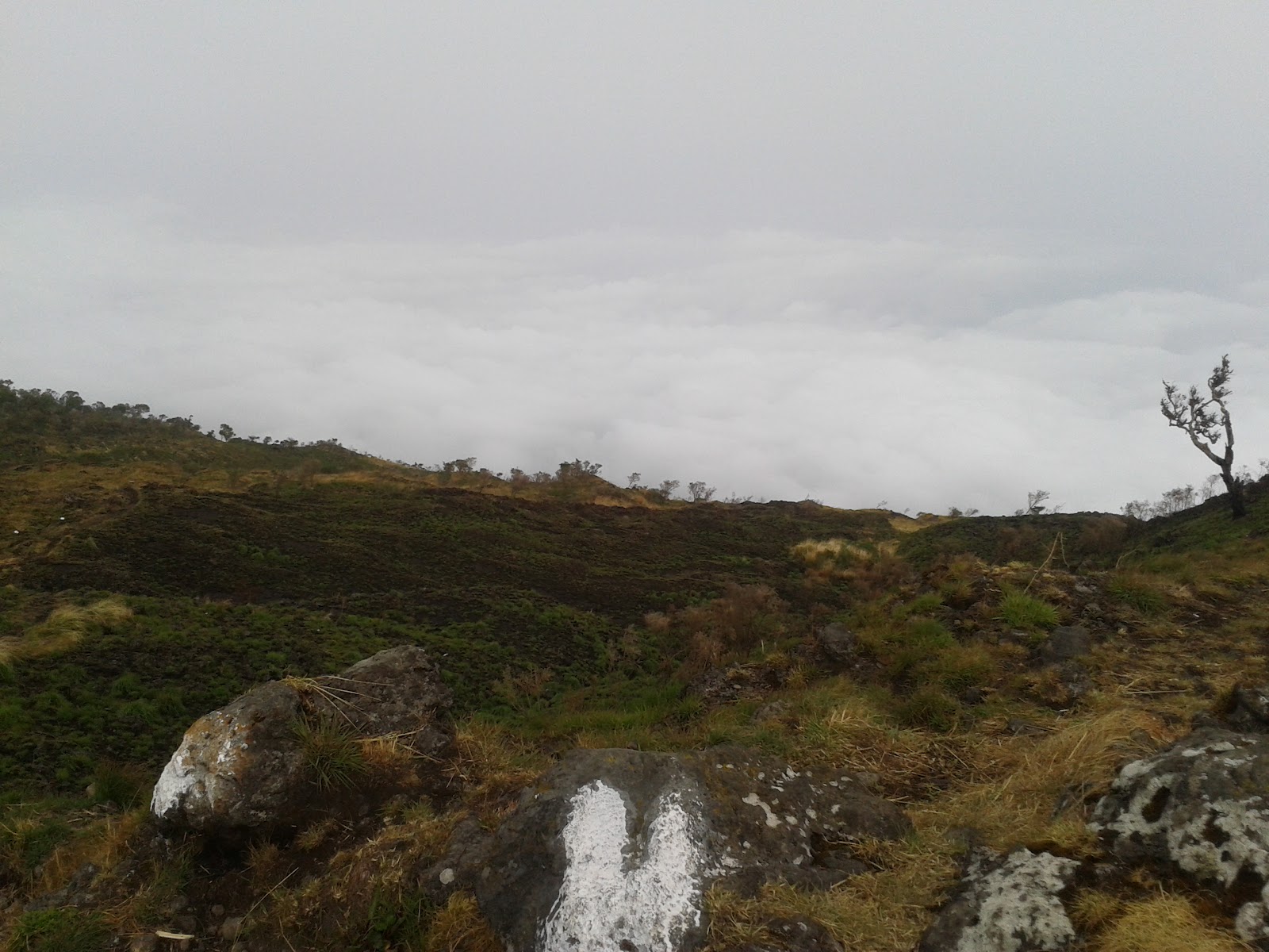 De paseo por Camerún: MONTE CAMERÚN