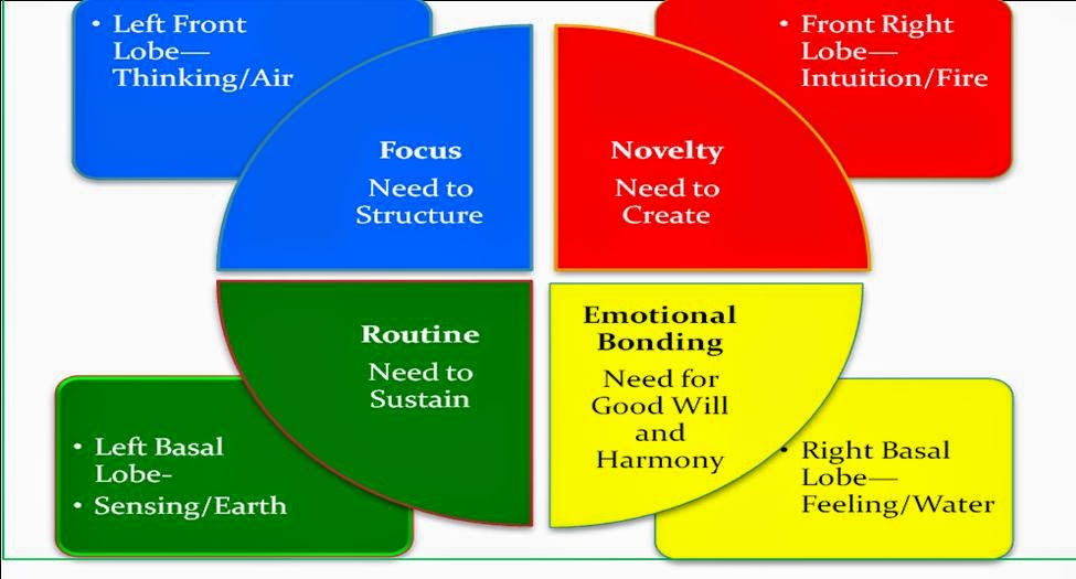 Brain Matters: Four Modes, Eight Functions--Part 2--Seeking Focus