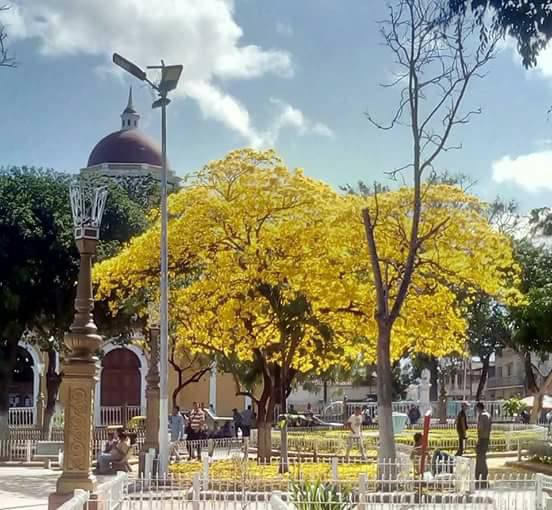 Poesía Rafael Deliso: ARAGUANEY