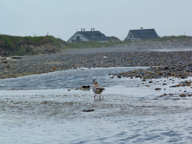 Skagen - Where Two Seas Collide |Blissful Solitary Wanderings