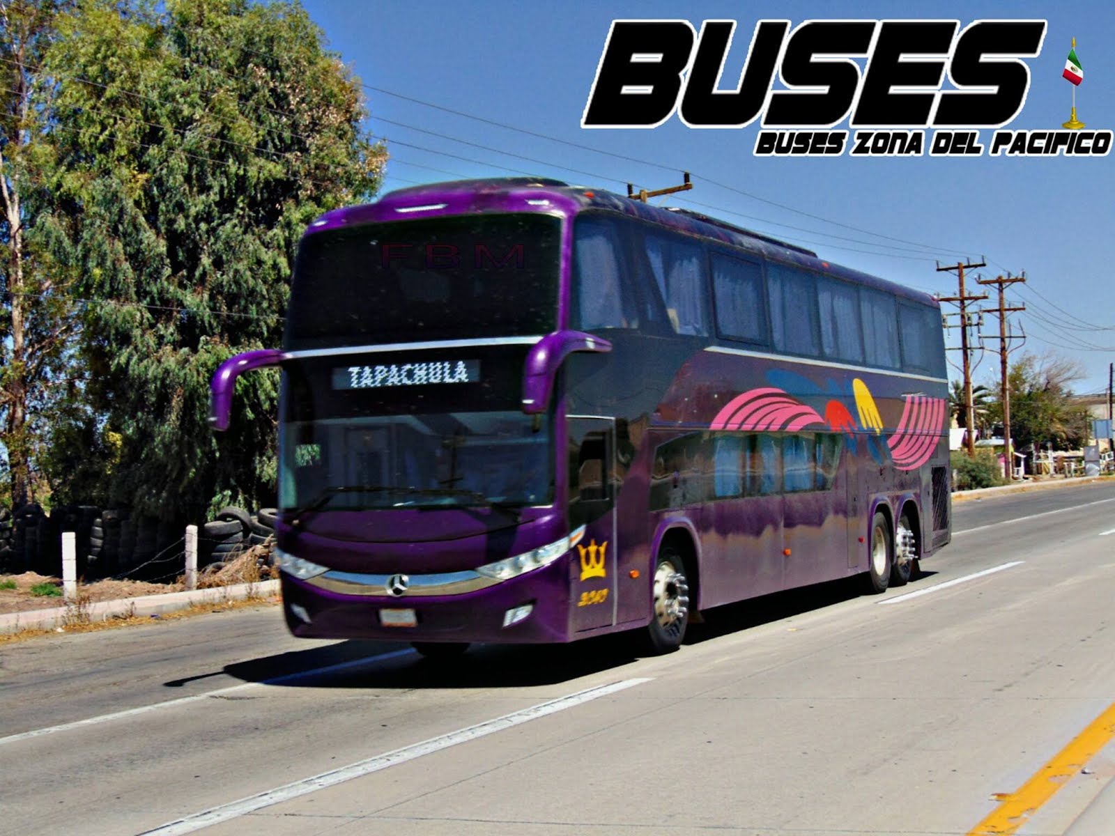Dr Samuel Banda: Algunos autobuses modificados