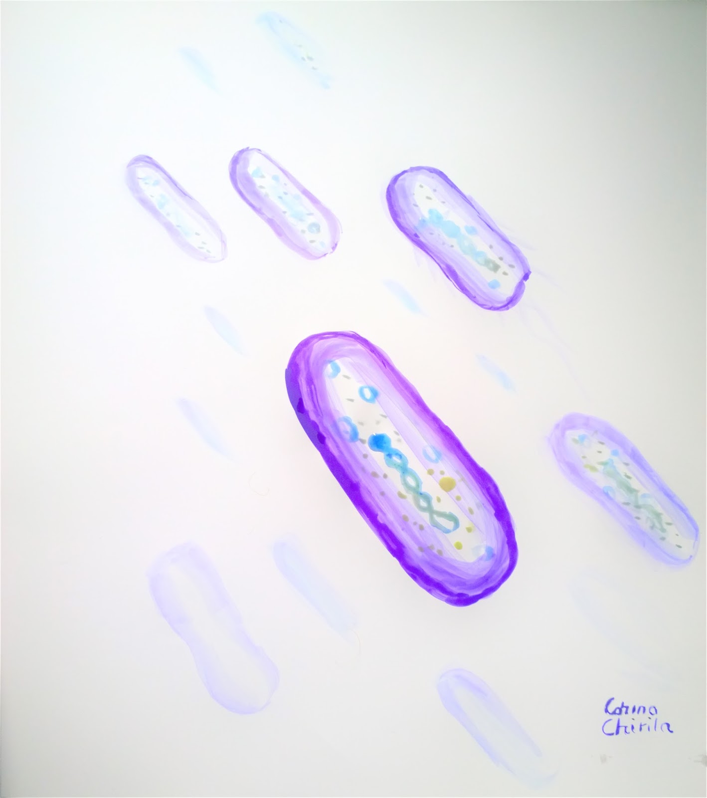 ♥*CORinAZONe ART- The art of Corina Chirila*♥*:...: Painting gram ...