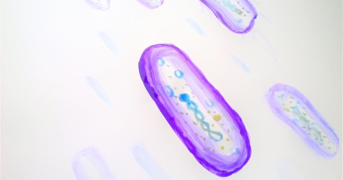 ♥*CORinAZONe ART- The art of Corina Chirila*♥*:...: Painting gram ...