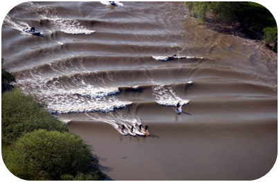 CART 3494 & camaradas da Guiné: P-159 (III) O RIO GEBA E O MACARÉU - O ...