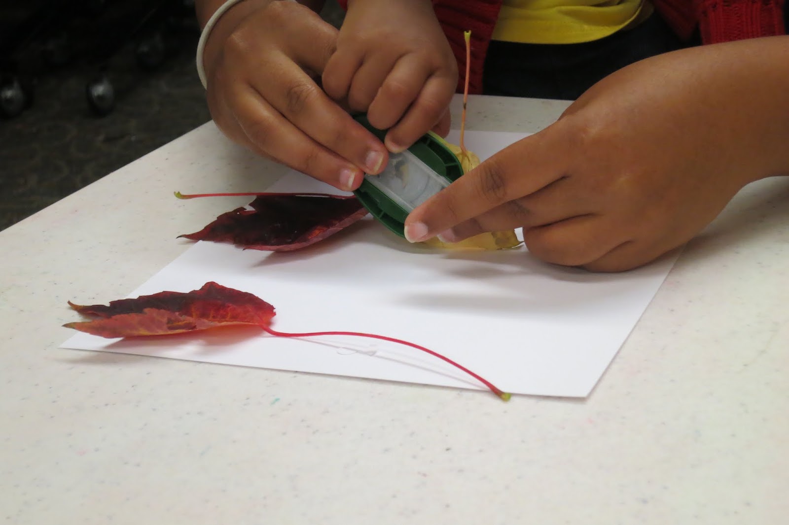 Toddler Art Class: Leaf Punching : library makers