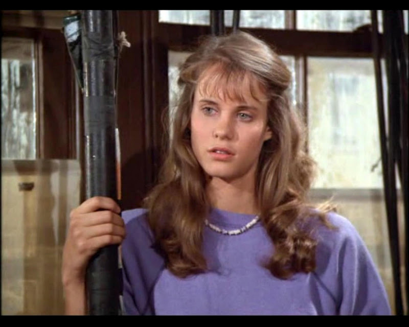 cleveland854321: THE 2012 PRESIDENTIAL ELECTIONS