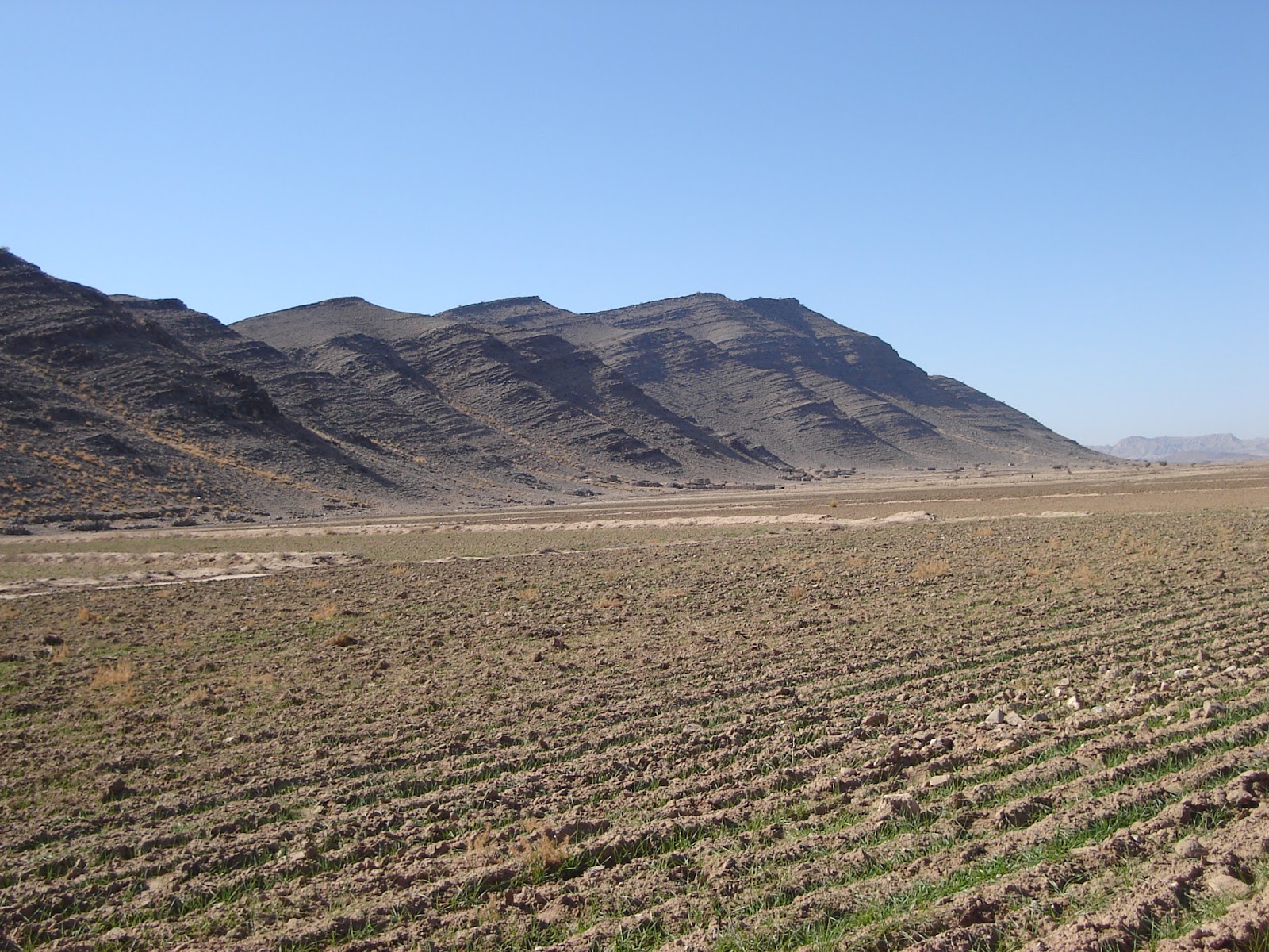 Biodiversity, climate change and food security: UNLOCK THE POTENTIAL OF ...