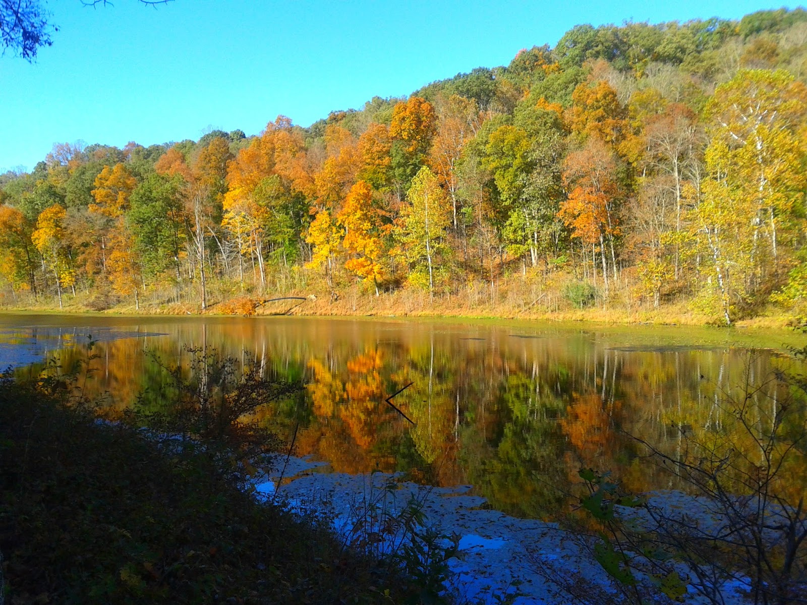 Southern Ohio Hiker: Photos of Lake Hope State Park 10-16-15.