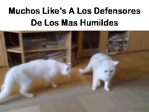 Aplausos Para Los Defensores De Los Más Débiles - Gif